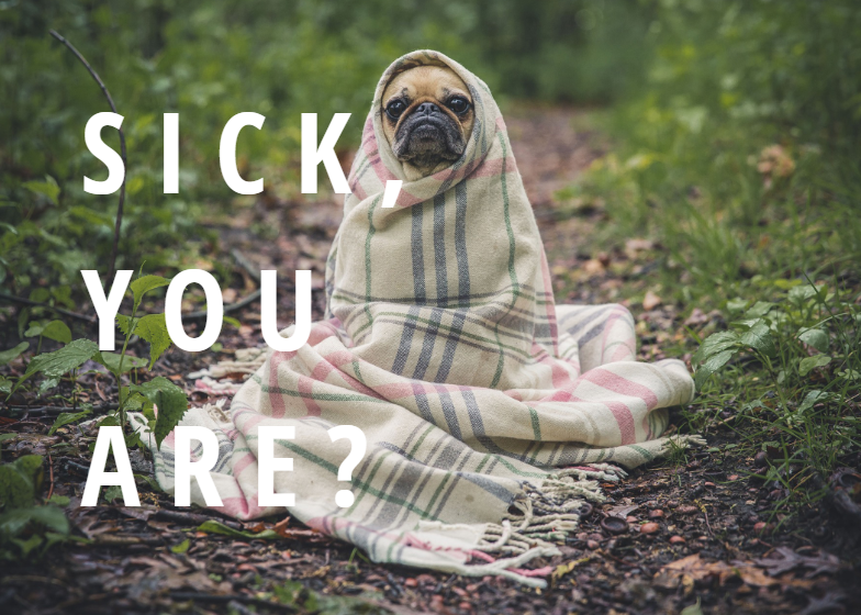 Sorry You’re Sick - Get Well Soon Card (Free) | Greetings Island