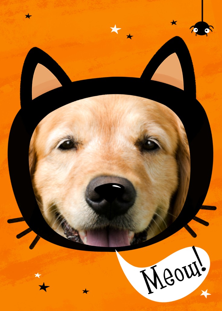 Meow - Halloween Card (Free) | Greetings Island
