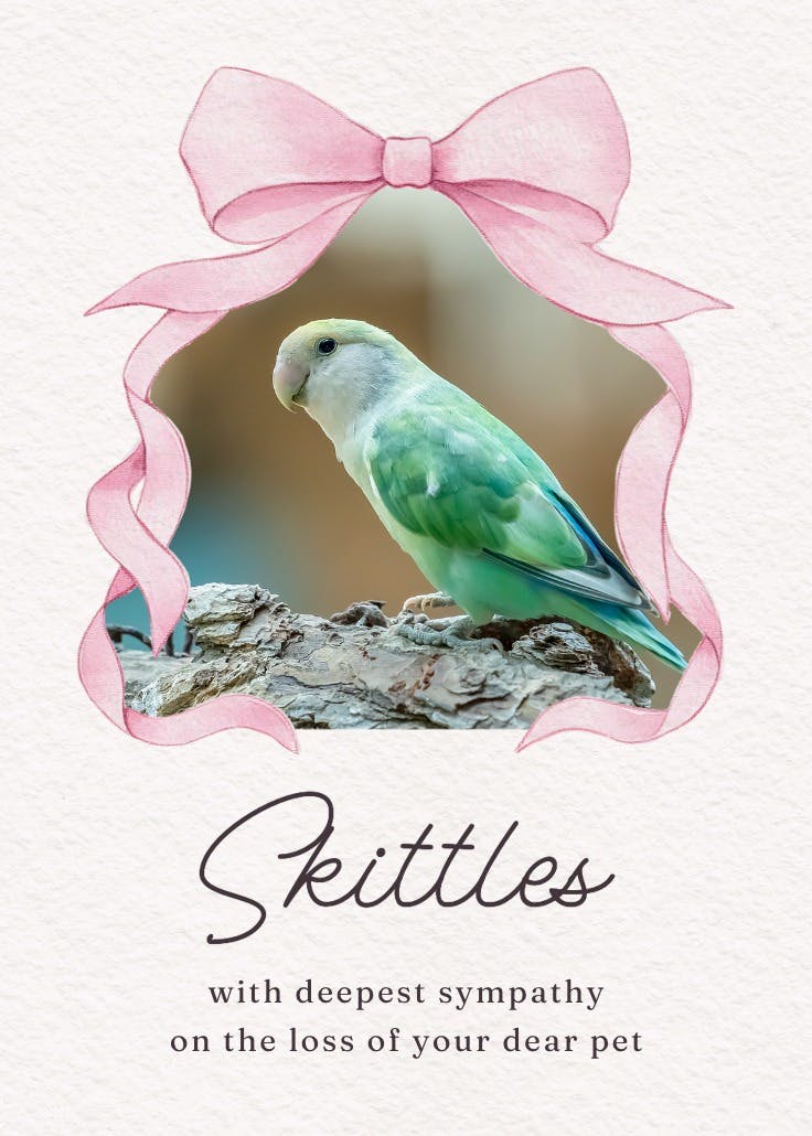 Ballerina Bow Photo - Tarjeta De Pérdida De Una Mascota | Greetings Island