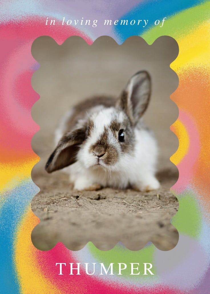 Disco Fever - Loss Of Pet Card (Free) | Greetings Island