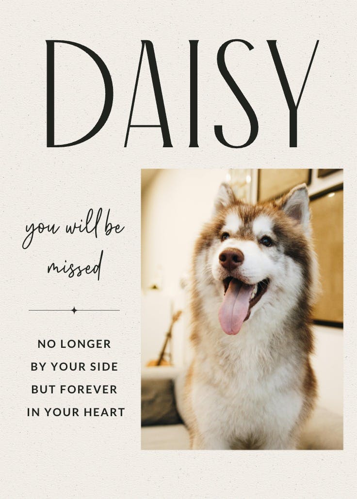 Editorial Layout - Loss Of Pet Card (Free) | Greetings Island