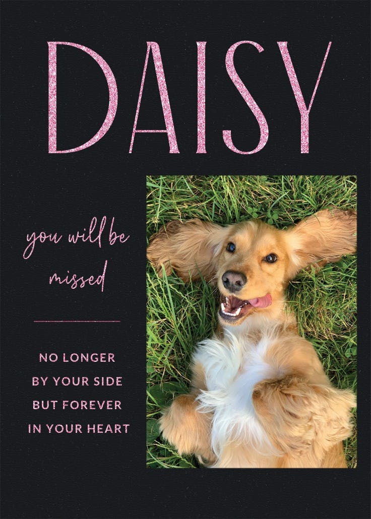 Editorial Layout - Loss Of Pet Card (Free) | Greetings Island