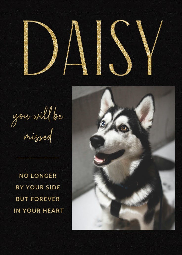 Editorial Layout - Loss Of Pet Card (Free) | Greetings Island