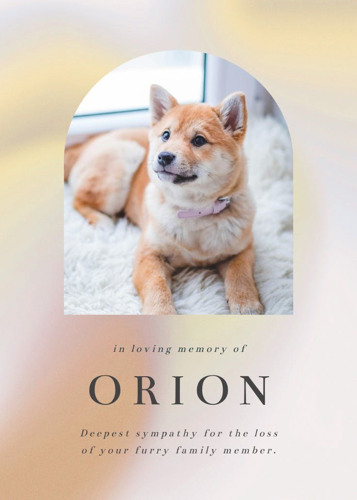 Empathy Frame - Loss Of Pet Card | Greetings Island