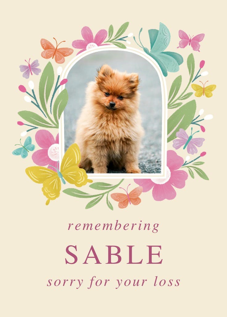 Fluttering garden - Loss Of Pet Card | Greetings Island