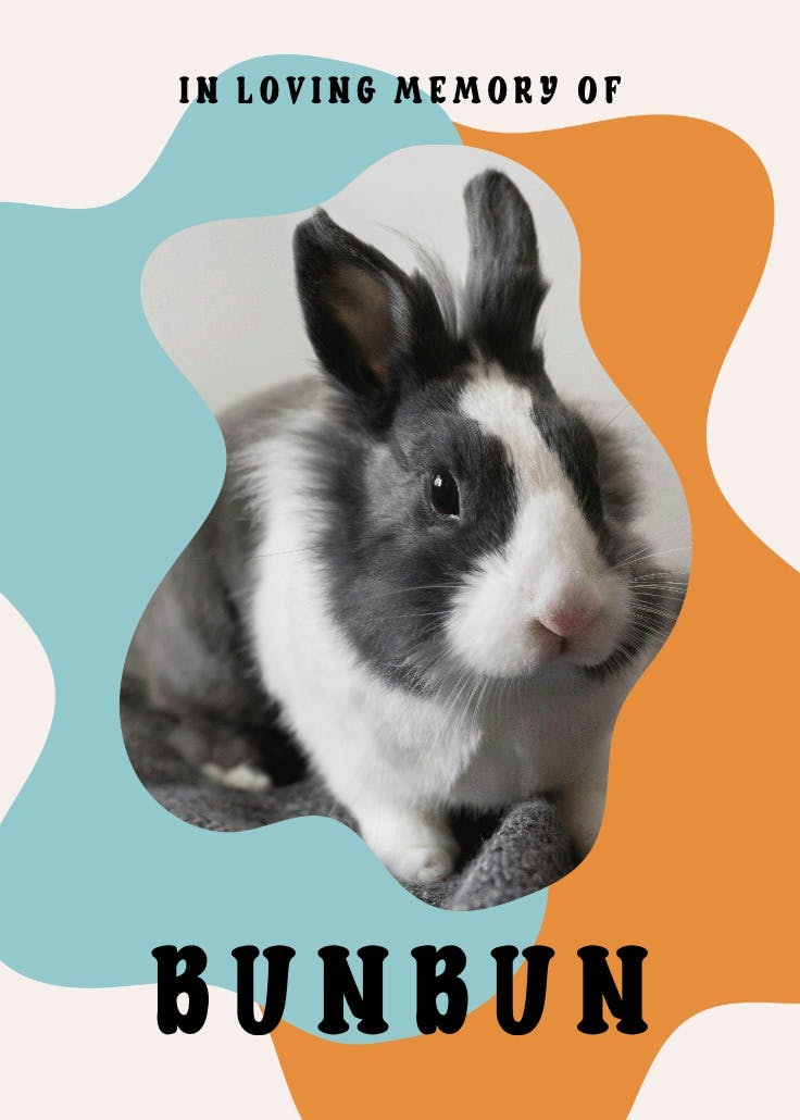 Mod Duo Tone - Loss Of Pet Card (Free) | Greetings Island