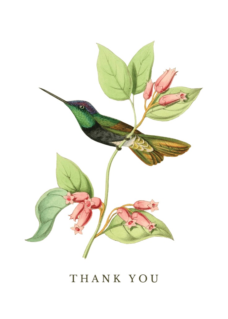 Thankful Bird - Thank You Card (Free) | Greetings Island