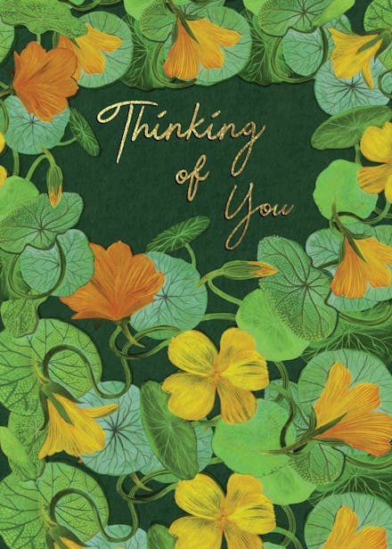 Friendship Cards (Free) | Greetings Island