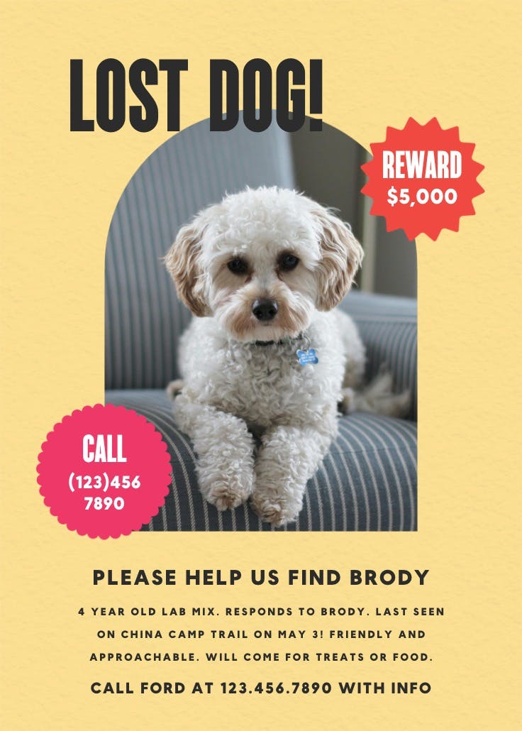 Dot Whack - Missing Poster Template (Free) | Greetings Island